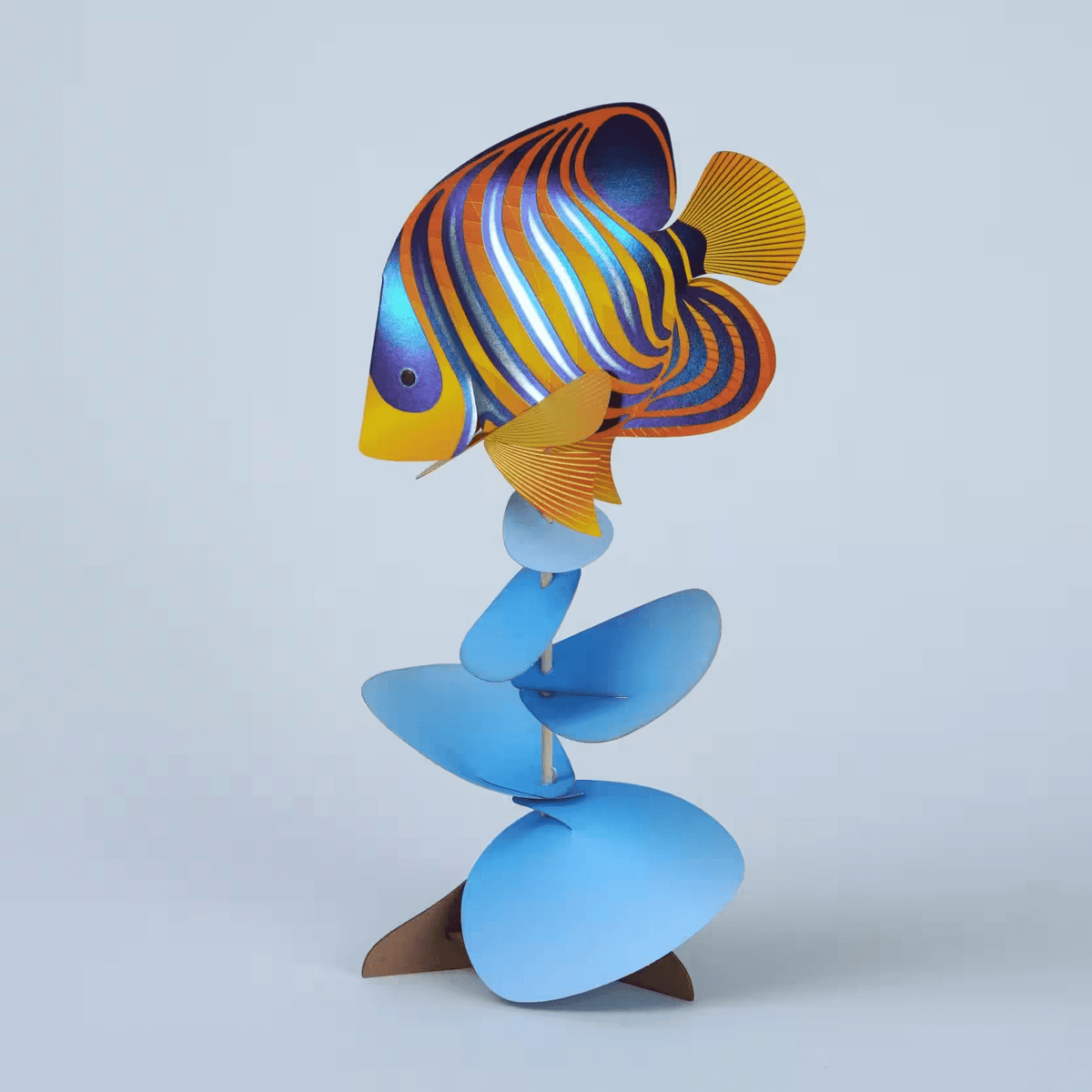 Poisson-ange Royal en Papier – memoiredessiecles